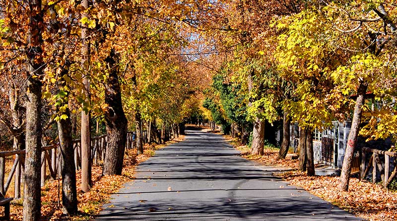 Διήμερη εκδρομή στην Ορεινή Αρκαδία